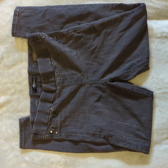 Liverpool Jeans Company | Jeans | Liverpool Grey The Skinny Pullon ...